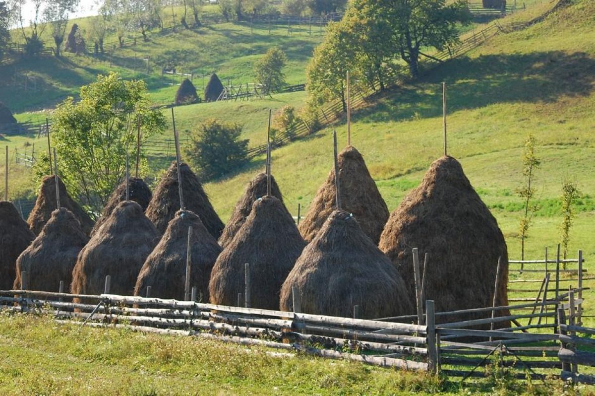 The Real, Rural Romania - Ffestiniog Travel