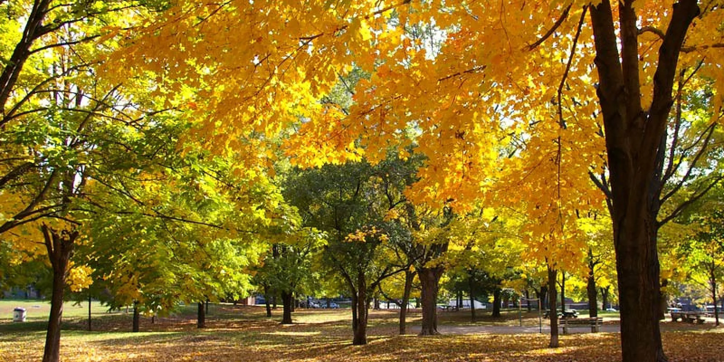 Canadian Tailored Rail Holiday: Eastern Canada in the Fall